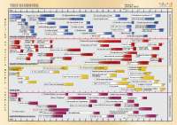 Test di Denver in Pediatria - Docsity