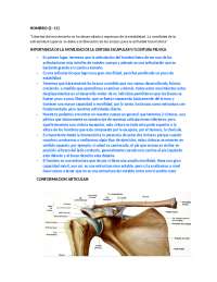 Hombro, partes del hombro y explicación | Apuntes de Anatomía | Docsity
