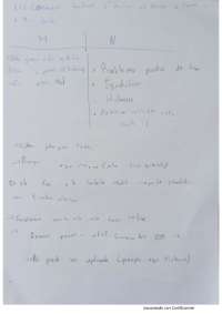 Practica textos internacional - Docsity