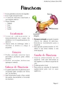 Resumo da Anatomia do Pâncreas | Esquemas Anatomia - Docsity