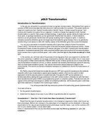 PGLO Transformation Lab - Docsity