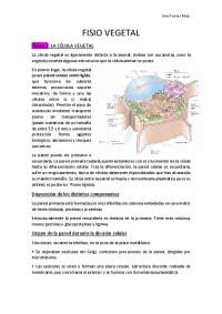 Apuntes fisio.vegetal - Docsity