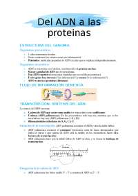 Del ADN a las proteinas - Docsity