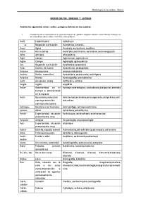 RAÍCES GRIEGAS Y LATINAS - Docsity