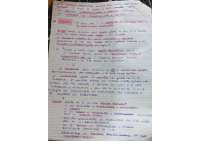 Il gioco secondo piacet - Docsity