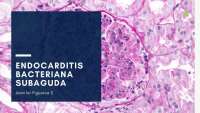 Endocarditis subaguda - Docsity