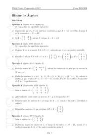 Bloquede´Algebra Matrices - Docsity