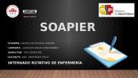 Soapier y ejemplo práctico | Diapositivas de Enfermería | Docsity