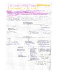 Rocce e minerali (varie tipologie) | Schemi e mappe concettuali di Scienze della Terra | Docsity