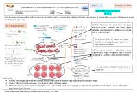 Esquema mapa mental. - Docsity