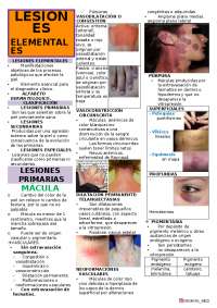 Lesiones elementales - Docsity