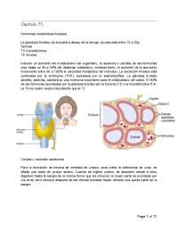 Guyton Fisiologia Capitulo 77 - Docsity