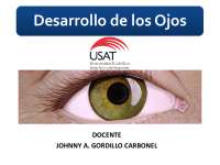 DESARROLLO DEL OJO EMBRIOLOGÍA - Docsity