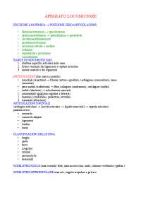 Apparato Locomotore Mappa Concettuale - Docsity