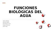 Funciones biológicas del agua | Vežbe' predlog Biologija - Docsity