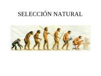 PROCESO DE SELECCION NATURAL VS EVELUCIÓN DE LAS ESPECIES - Docsity