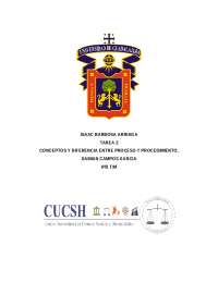 Proceso vs Procedimiento - Docsity