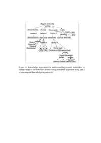 Organic Molecules Concept Map - Docsity
