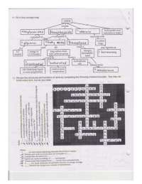 Lipids Concept Map with Answer Key | Schemes and Mind Maps Biochemistry ...