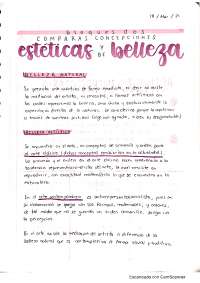 Actividades concepciones estéticas y belleza - Docsity