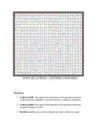 Sopa de letras sistema reproductor - Docsity