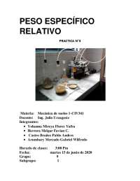 Informes complementarios - Docsity