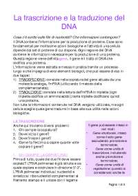 Riassunto semplice e completo sulla trascrizione e la traduzione del DNA - Docsity