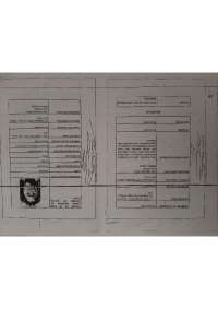 Actividades de primaria - Docsity