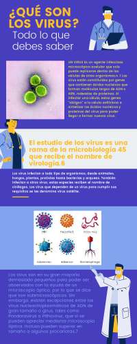 INFOGRAFIA DE QUE ES UN VIRUS | Apuntes de Biología - Docsity