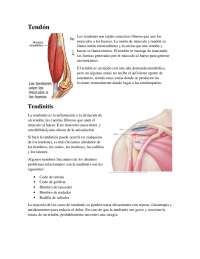 Tendón, función y patología. - Docsity