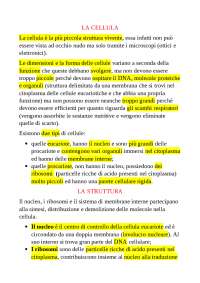 La cellula, appunti sulla struttura e funzione - Docsity