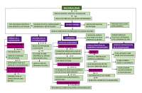 Mapa Conceptual de la Nacionalidad y la Capacidad - DIPr | Esquemas y mapas conceptuales de ...