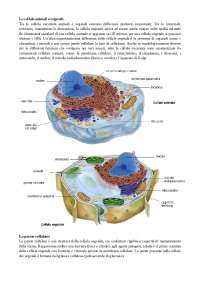 La cellula e gli organuli - Docsity