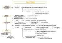 DIAGRAMA ESTÉTICA PLOTINO - Docsity