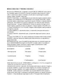 Fondamenti Biogenetici - Modulo Biologia - Docsity