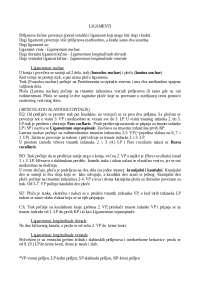 Ligamenti i zglobne veze - anatomija domaćih životinja | Beleške' predlog Anatomija i ...