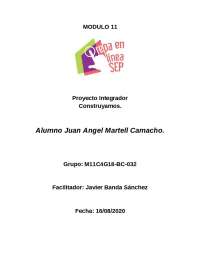 Modulo 11 proyecto integrador | Ejercicios de Matemáticas - Docsity