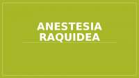 ANESTESIA RAQUIDEA EN MEDICINA HUMANA - Docsity