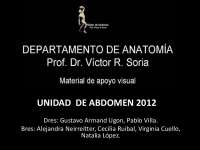 CD de abdomen FMED Anatomía | Diapositivas de Anatomía | Docsity
