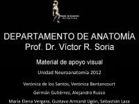 CD de neuro FMED Anatomía - Docsity