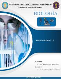 Informes de practica - Docsity