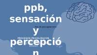 CLASE 2 CONCEPTOS SOBRE PPB, PERCEPCIÓN Y SENSACION - Docsity