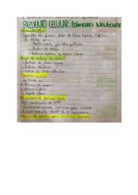 Bitacora de biologia celular Practica - Docsity
