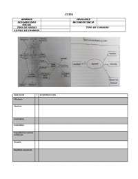 Test cuida para habilidades parentales - Docsity