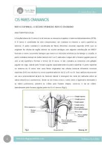 Nervo Acessório - XI Par Craneano - Docsity