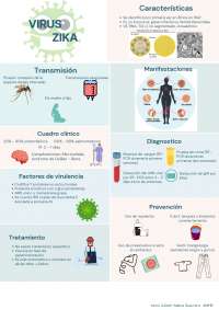 POSTER VIRUS ZIKA DETALLADO - Docsity