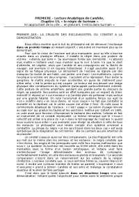 Lecture Analytique de Candide,Chapitre 19, « le nègre de Surinam » - Docsity