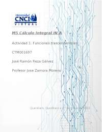 Actividad calculo integral - Docsity