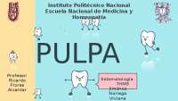 Pulpa, características y funciones - Docsity