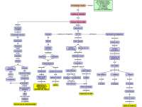 MAPA CONCEPTUAL O ESQUEMA DE ABP - Docsity